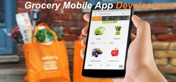 Custom Grocery Mobile App Development Solution