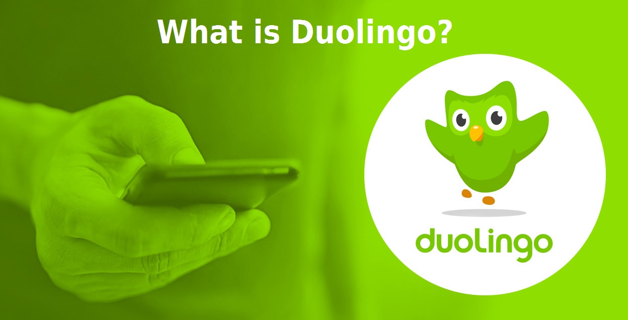How to Develop a Language Learning App Like Duolingo?