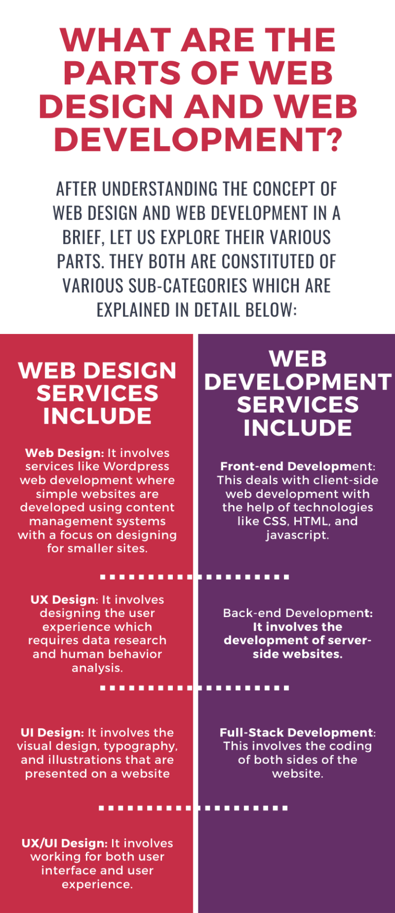 Web Design VS Web Development: Which Is Crucial For Business?